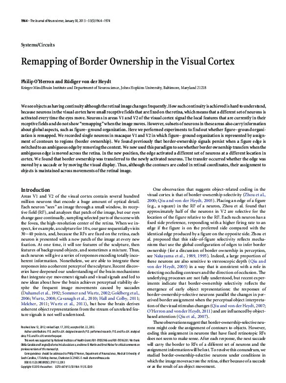 Pdf Remapping Of Border Ownership In The Visual Cortex