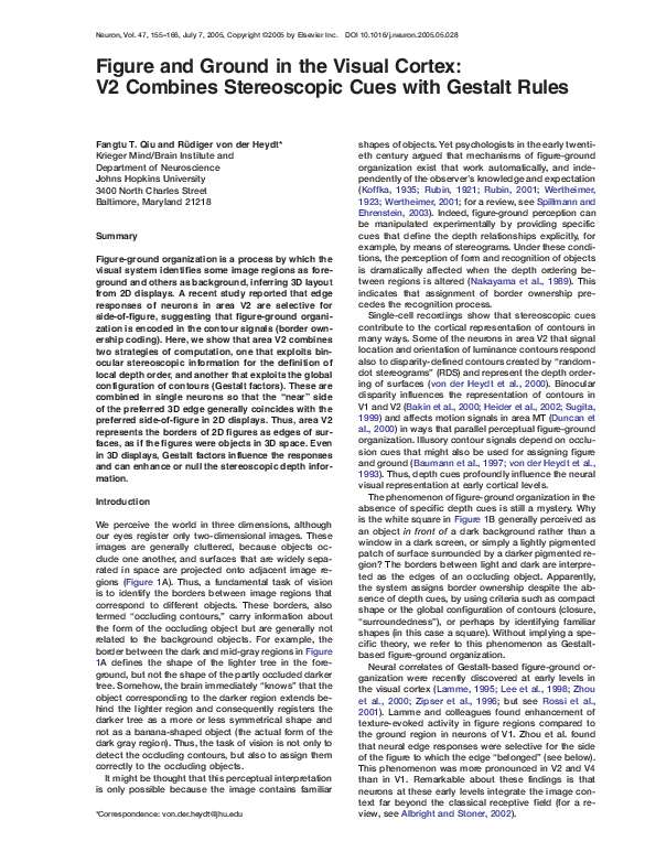 (PDF) Figure and ground in the visual cortex: v2 combines stereoscopic ...