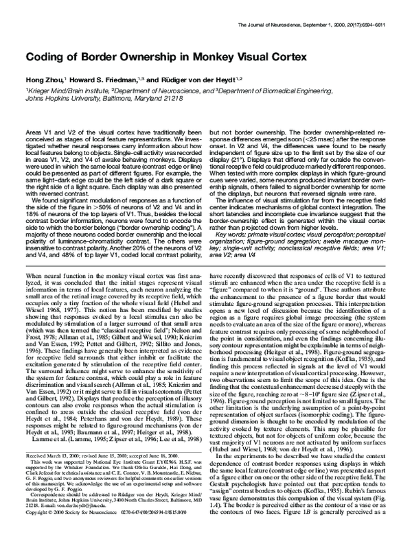 (PDF) Coding of border ownership in monkey visual cortex