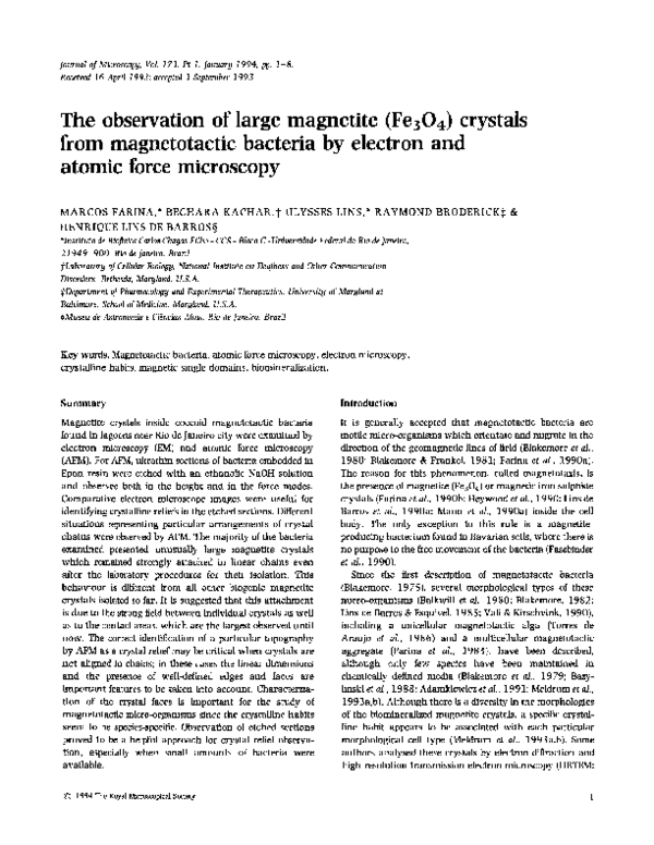 (PDF) The observation of large magnetite (Fe3O4) crystals from ...