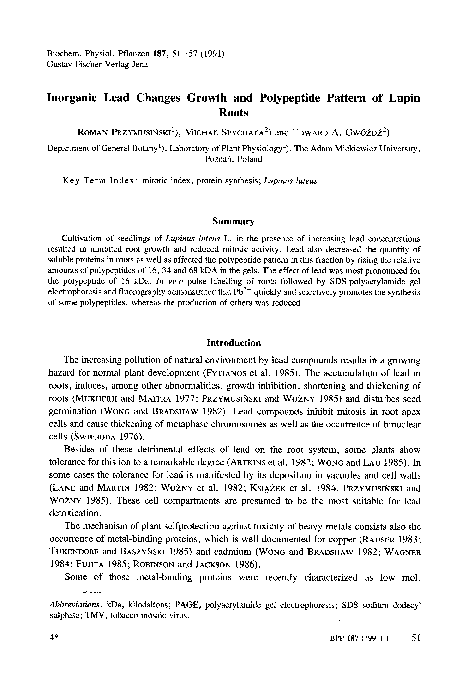 (PDF) Inorganic Lead Changes Growth and Polypeptide Pattern of Lupin Roots