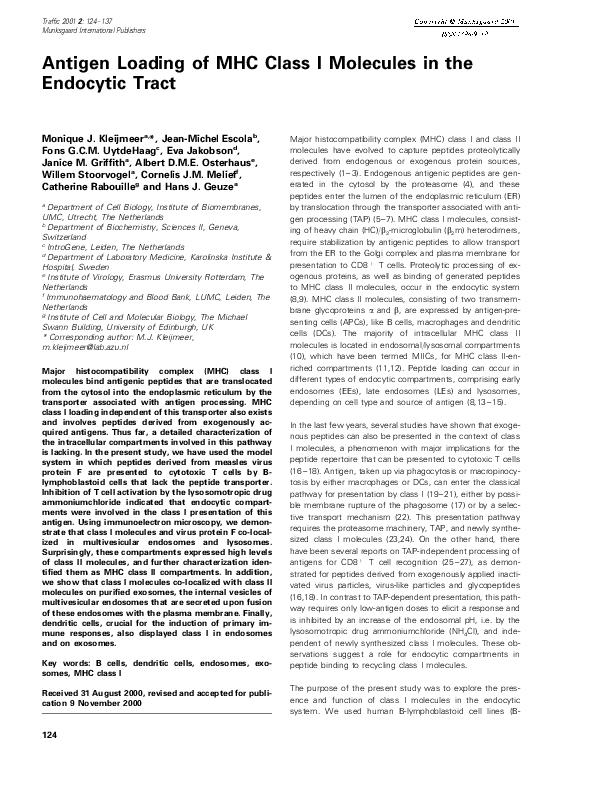 (PDF) Antigen Loading of MHC Class I Molecules in the Endocytic Tract