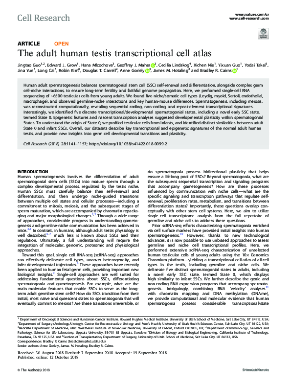 (PDF) The adult human testis transcriptional cell atlas | Xichen Nie ...