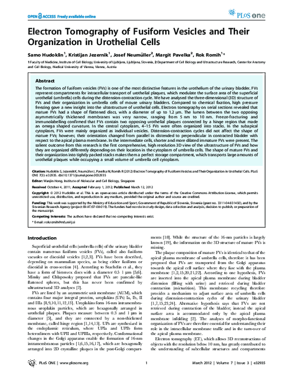 (PDF) Electron Tomography of Fusiform Vesicles and Their Organization ...