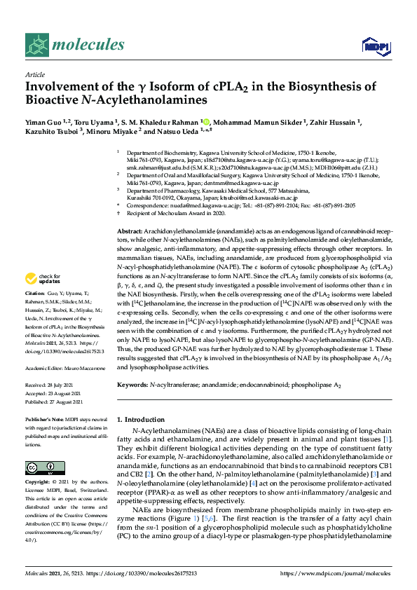 (PDF) Involvement of the γ Isoform of cPLA2 in the Biosynthesis of ...