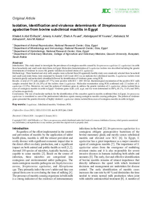 Pdf Isolation Identification And Virulence Determinants Of Streptococcus Agalactiae From
