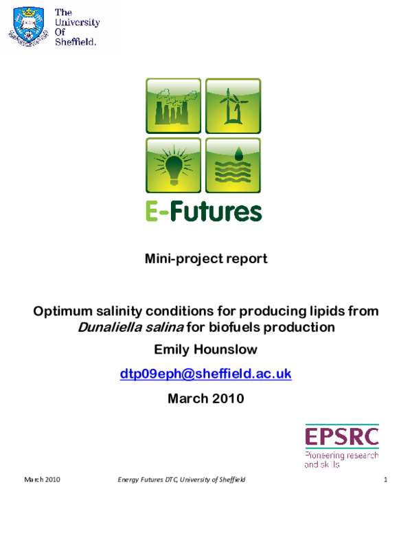 (PDF) Mini-project report