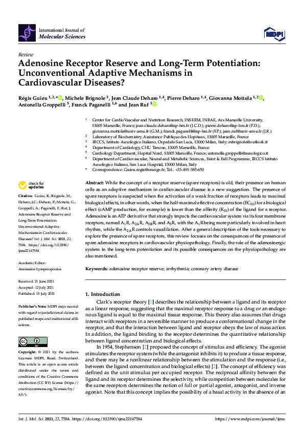 (PDF) Adenosine Receptor Reserve and Long-Term Potentiation ...