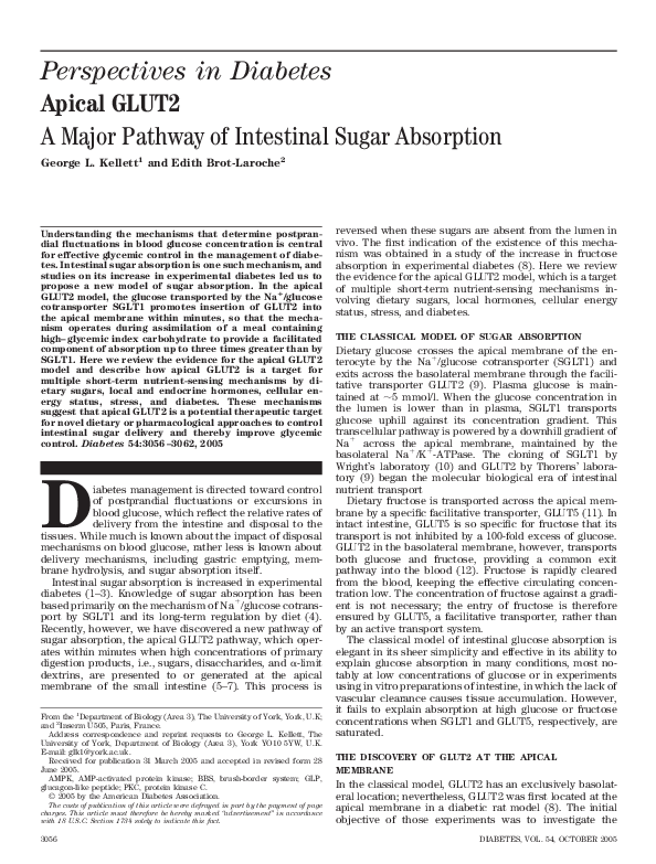 (PDF) Apical GLUT2: A Major Pathway of Intestinal Sugar Absorption