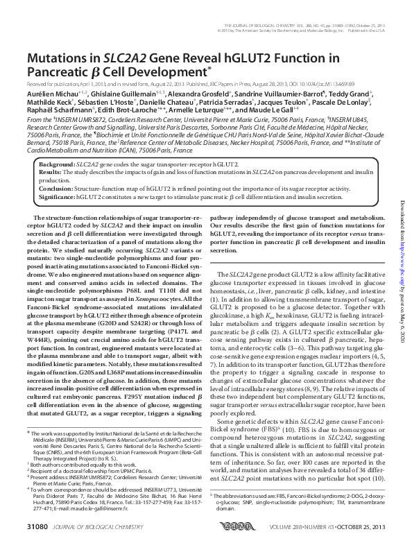 (PDF) Mutations in SLC2A2 Gene Reveal hGLUT2 Function in Pancreatic ...