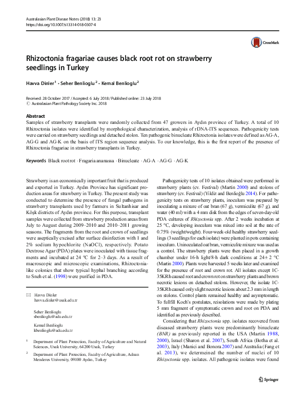 (PDF) Rhizoctonia fragariae causes black root rot on strawberry ...
