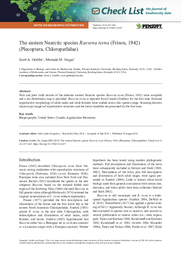 (PDF) The eastern Nearctic species Rasvena terna (Frison, 1942 ...