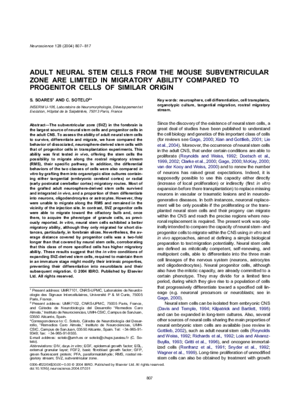 (PDF) Adult neural stem cells from the mouse subventricular zone are ...