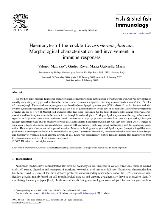 (PDF) Haemocytes of the cockle Cerastoderma glaucum: Morphological ...