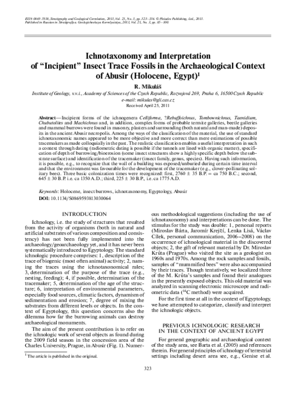 (PDF) Ichnotaxonomy and interpretation of “incipient” insect trace ...