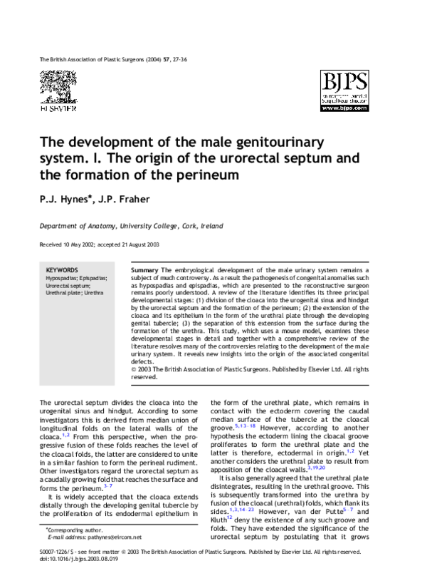 (PDF) The development of the male genitourinary system. I. The origin ...