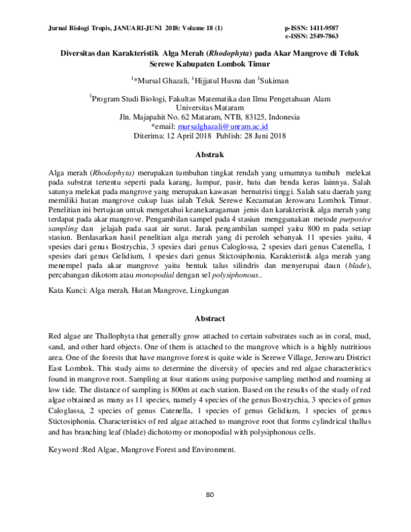 (PDF) Diversitas dan Karakteristik Alga Merah (Rhodophyta) pada Akar ...