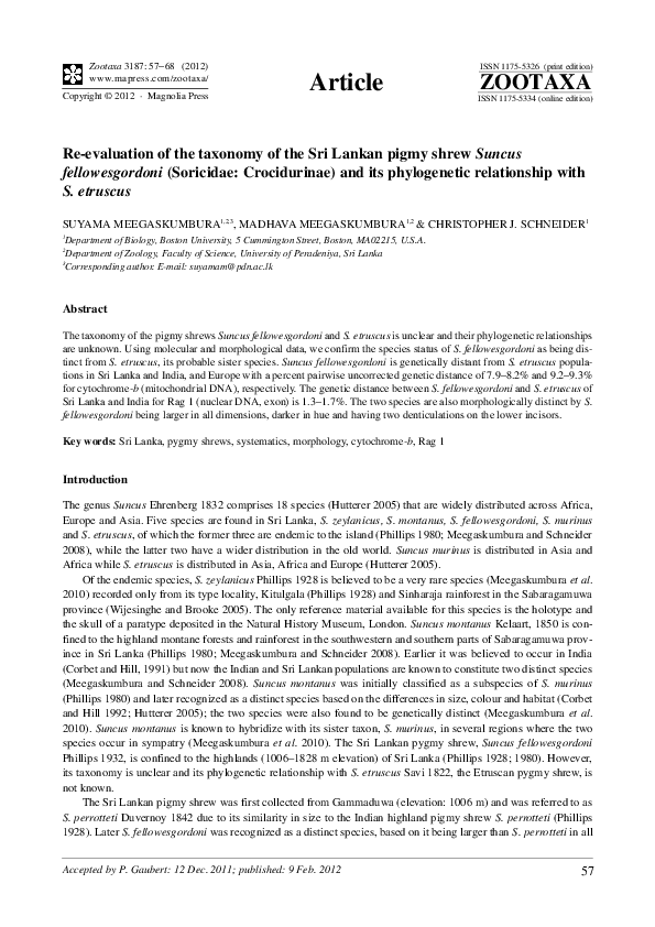 (PDF) Re-evaluation of the taxonomy of the Sri Lankan pigmy shrew ...