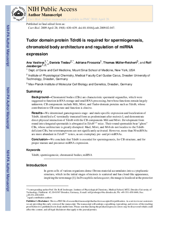 (PDF) Tdrd6 Is Required for Spermiogenesis, Chromatoid Body ...