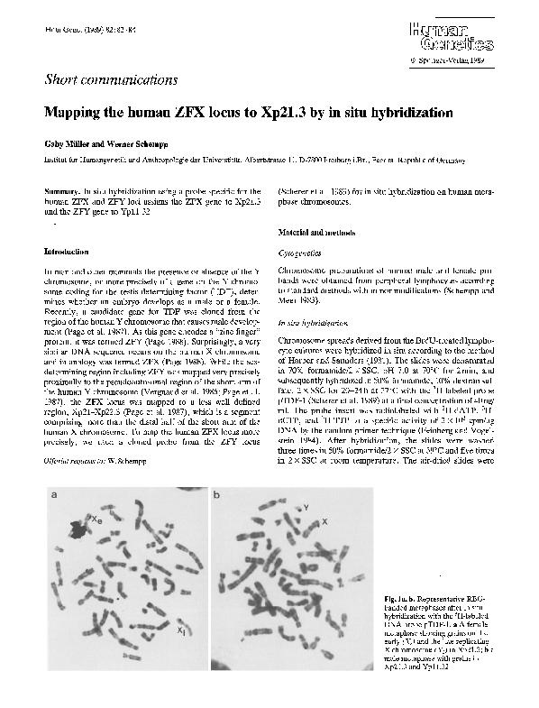 (PDF) Mapping the human ZFX locus to Xp21.3 by in situ hybridization