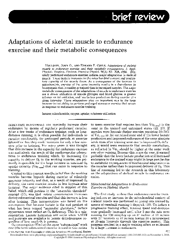 (PDF) Adaptations of skeletal muscle to endurance exercise and their metabolic consequences