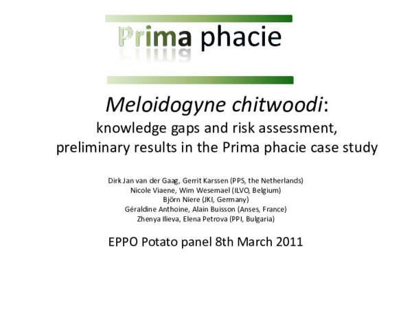 (PDF) Meloidogyne chitwoodi: knowledge gaps and risk assessment ...