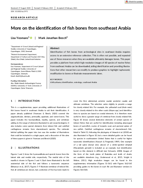 (PDF) More on the identification of fish bones from southeast Arabia