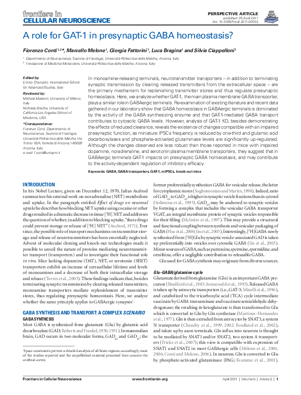 (PDF) A Role for GAT-1 in Presynaptic GABA Homeostasis?