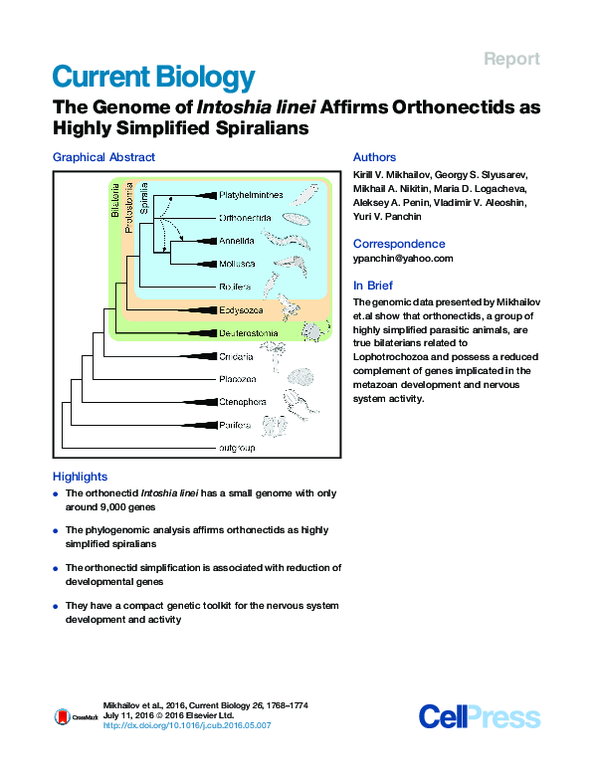 (PDF) The Genome of Intoshia linei Affirms Orthonectids as Highly ...