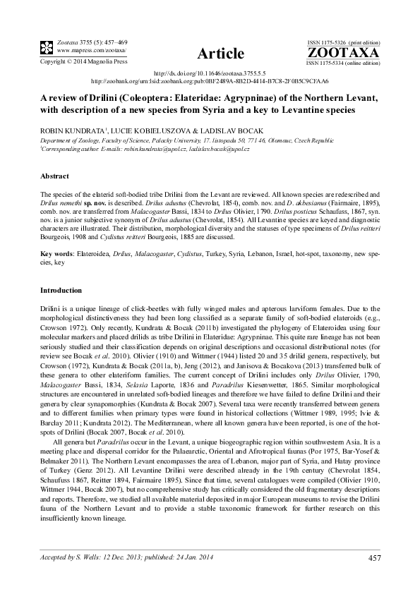 (PDF) A review of Drilini (Coleoptera: Elateridae: Agrypninae) of the ...