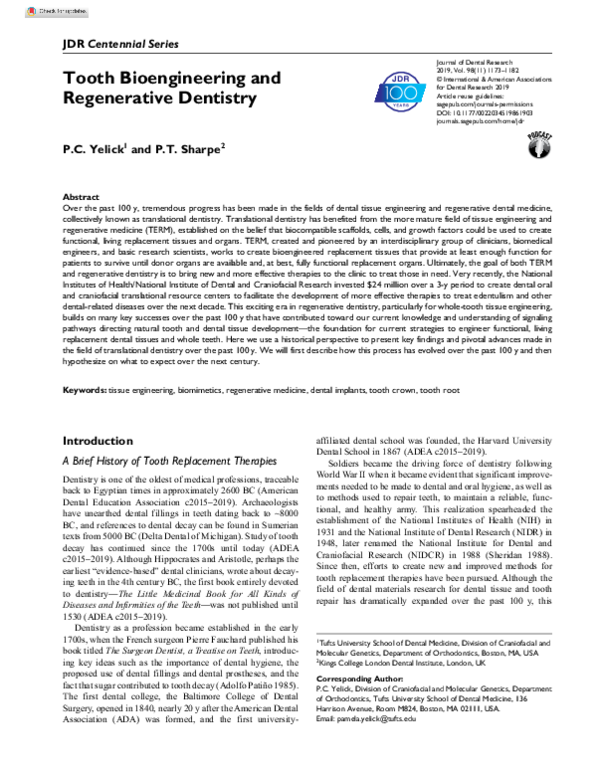 (PDF) Tooth Bioengineering and Regenerative Dentistry