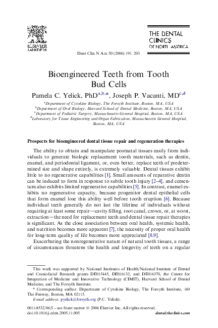 (PDF) Bioengineered Teeth from Tooth Bud Cells