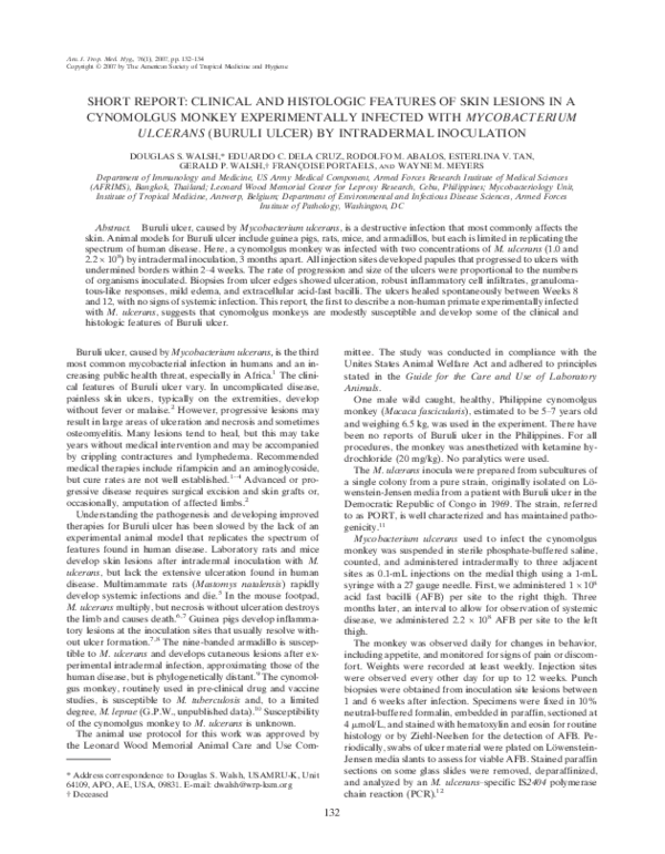 (PDF) Clinical and histologic features of skin lesions in a cynomolgus ...