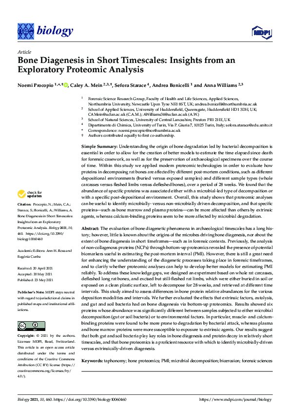 (PDF) Bone Diagenesis in Short Timescales: Insights from an Exploratory ...