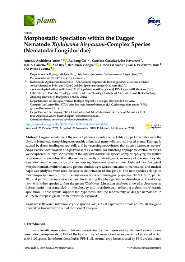 (PDF) Morphostatic Speciation within the Dagger Nematode Xiphinema ...