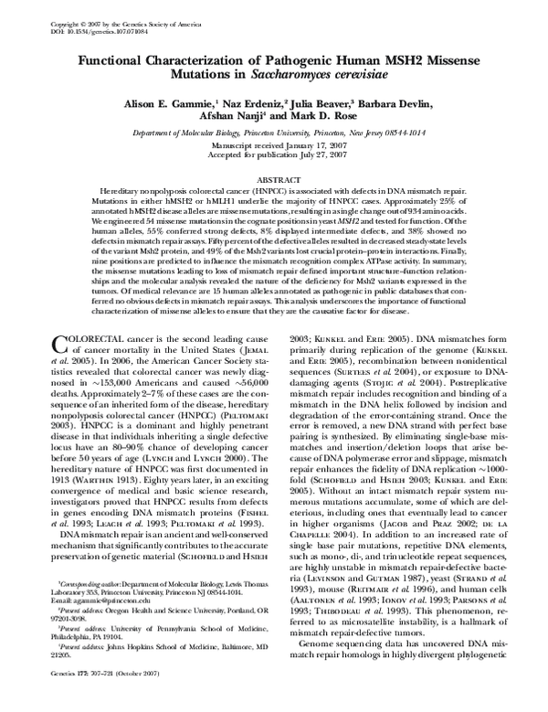 (PDF) Functional Characterization of Pathogenic Human MSH2 Missense Mutations in Saccharomyces ...
