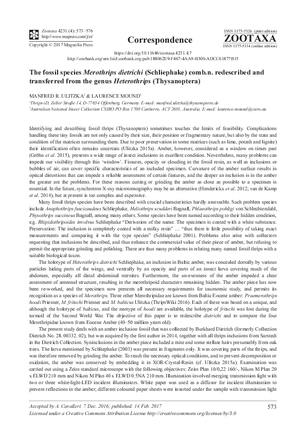 (PDF) The fossil species Merothrips dietrichi (Schliephake) comb.n ...