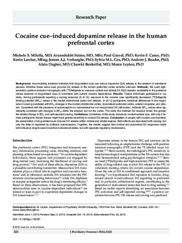 (PDF) Cocaine cue-induced dopamine release in the human prefrontal cortex