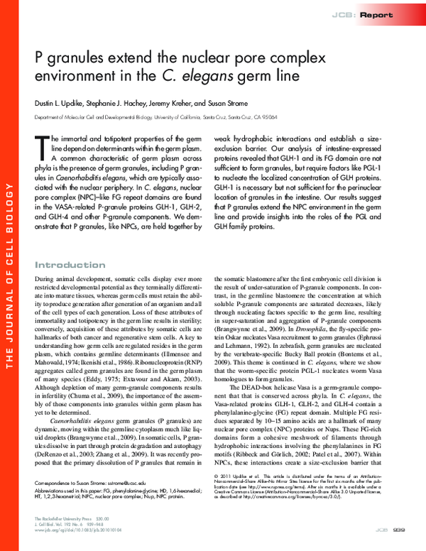 (PDF) P granules extend the nuclear pore complex environment in the C ...
