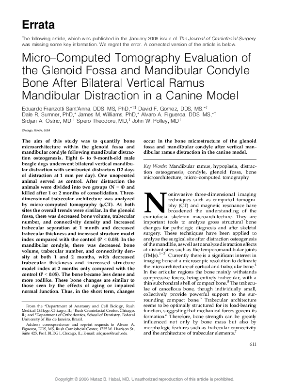 (PDF) Micro-Computed Tomography Evaluation of the Glenoid Fossa and ...