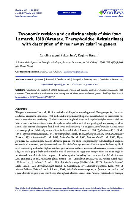 (PDF) Taxonomic revision and cladistic analysis of Avicularia Lamarck ...