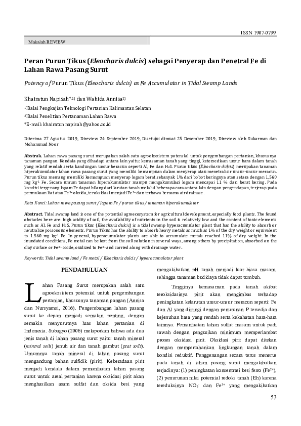 (PDF) Peran Purun Tikus (Eleocharis dulcis) sebagai Penyerap dan ...