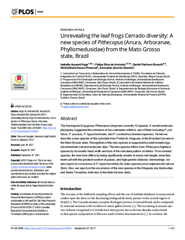 (PDF) Unrevealing the leaf frogs Cerrado diversity: A new species of ...