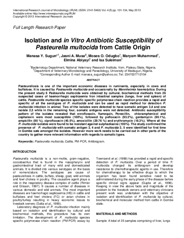 (PDF) Isolation and in Vitro Antibiotic susceptibility of Pasteurella ...