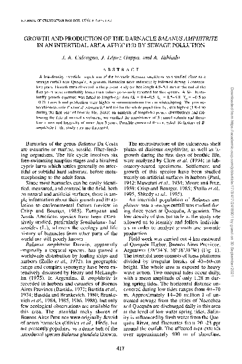 (PDF) Growth and Production of the Barnacle Balanus amphitrite in an ...