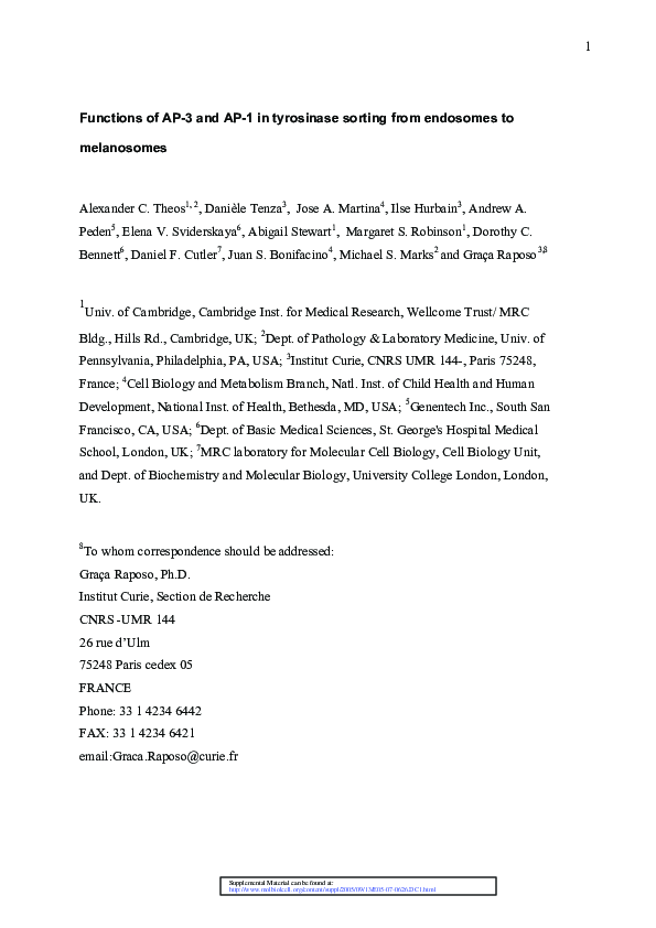 (PDF) Functions of AP3 and AP1 in tyrosinase sorting from endosomes to ...