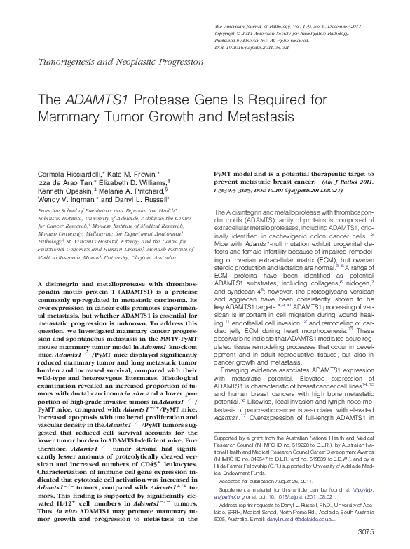 (PDF) ADAMTS1's Role in Mammary Tumor Progression