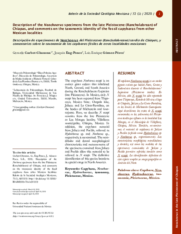 (PDF) Description of the Neochoerus specimens from the Late Pleistocene ...