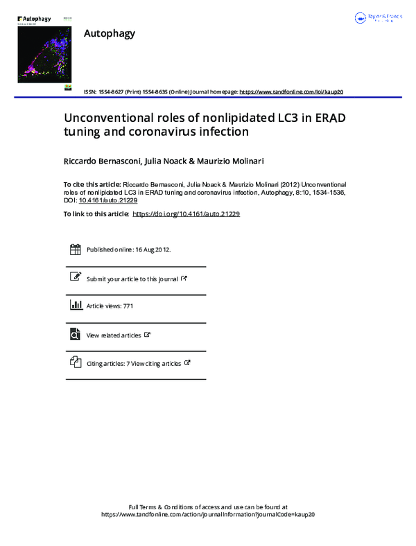 (PDF) Unconventional roles of nonlipidated LC3 in ERAD tuning and ...