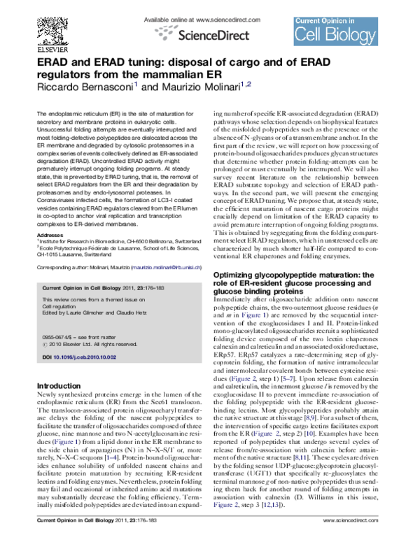 (PDF) ERAD and ERAD tuning: disposal of cargo and of ERAD regulators ...